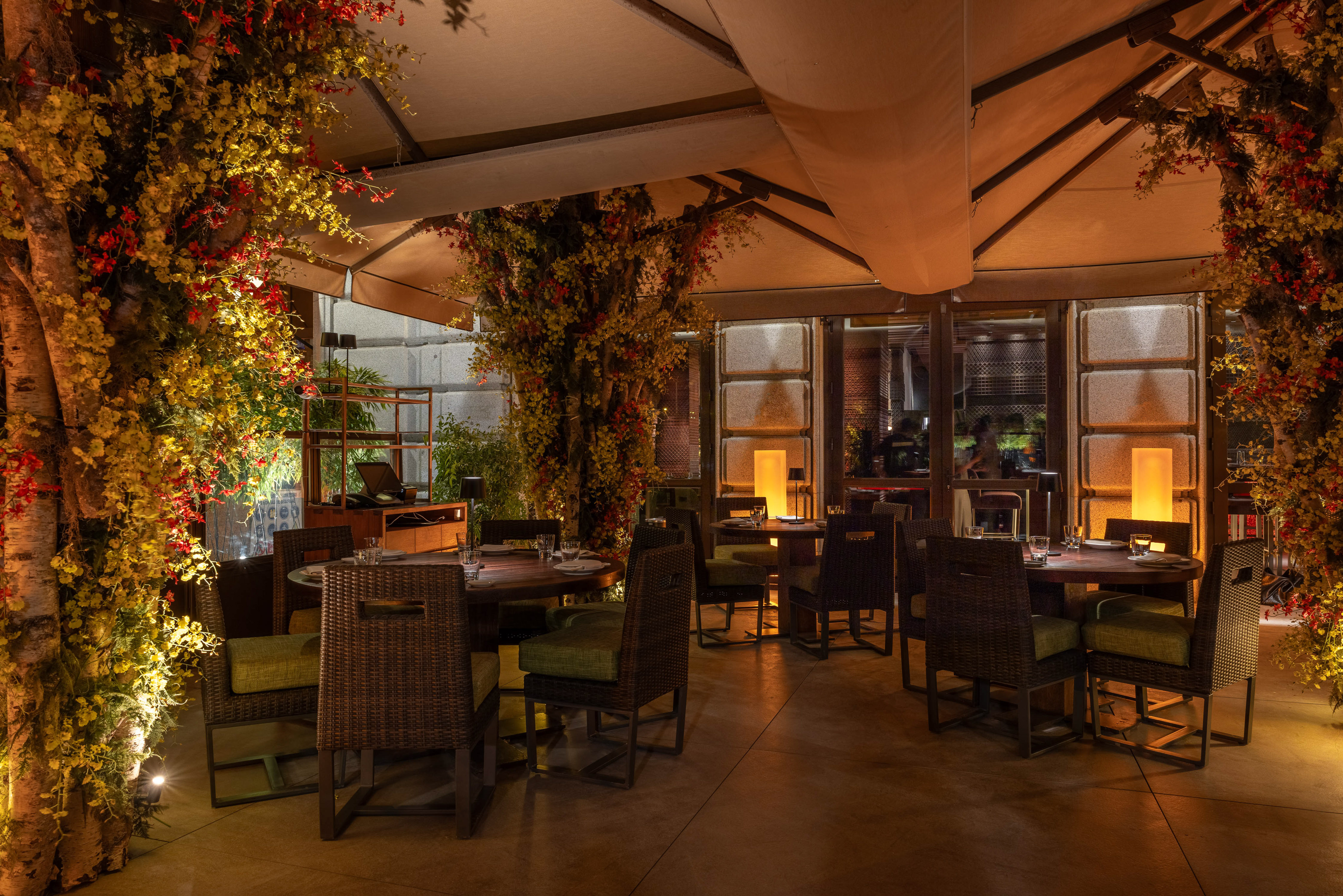 Internova Experiences - Article