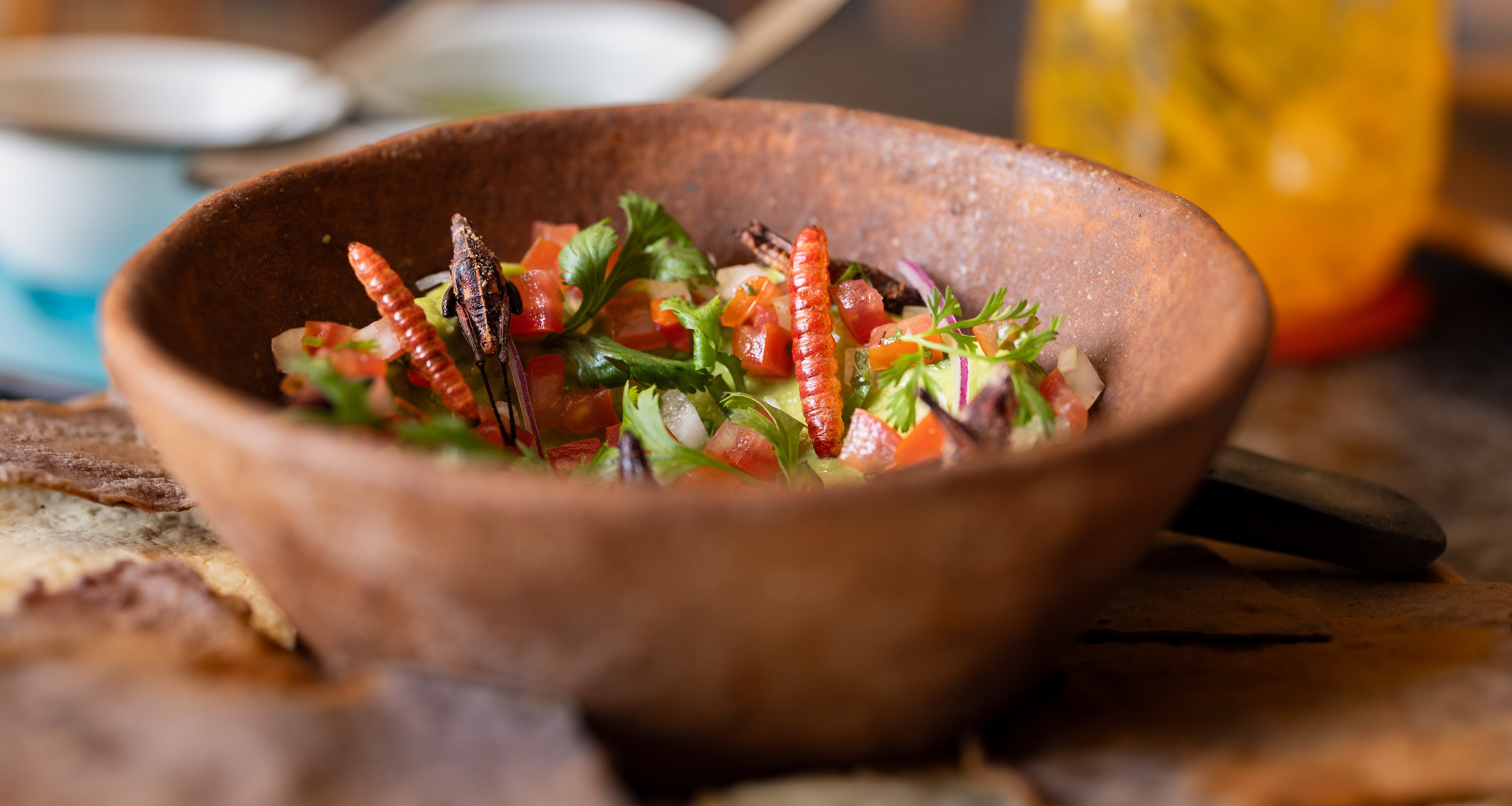 Internova Experiences - Article