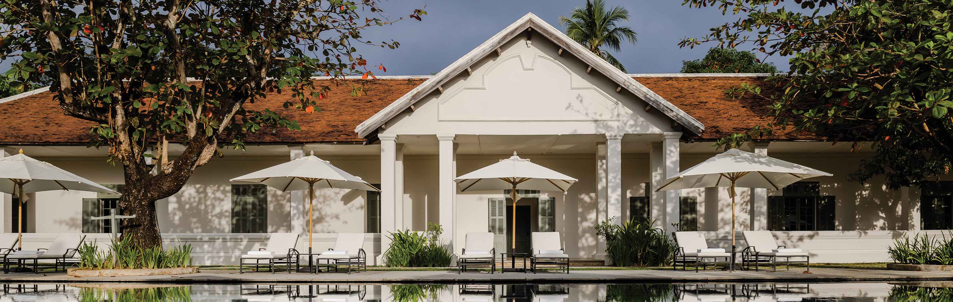 Internova Experiences - Article